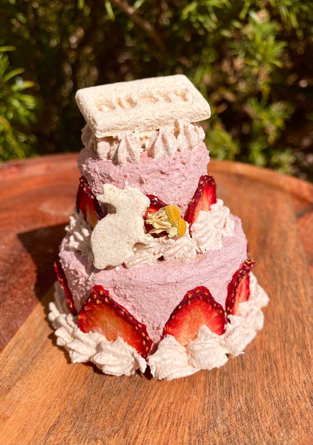 Birthday Cake, Gotchaday Cake – PyonPyon